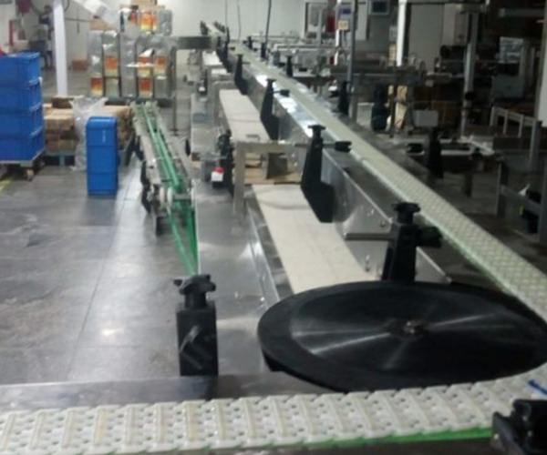 Flex Link Conveyors